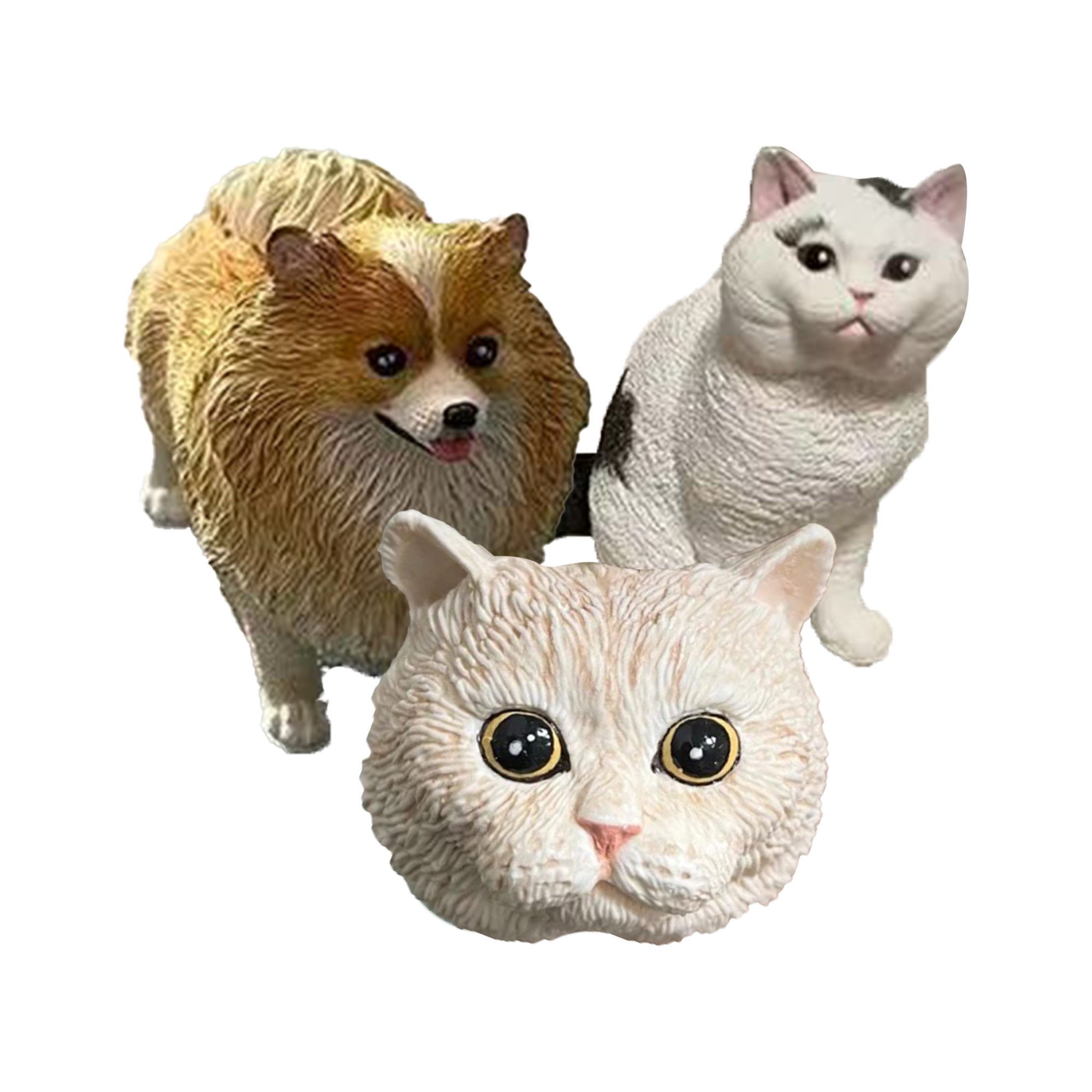 Custom Pet Portrait Souvenir – 3D Plaster Pet Head DIY Creative ...
